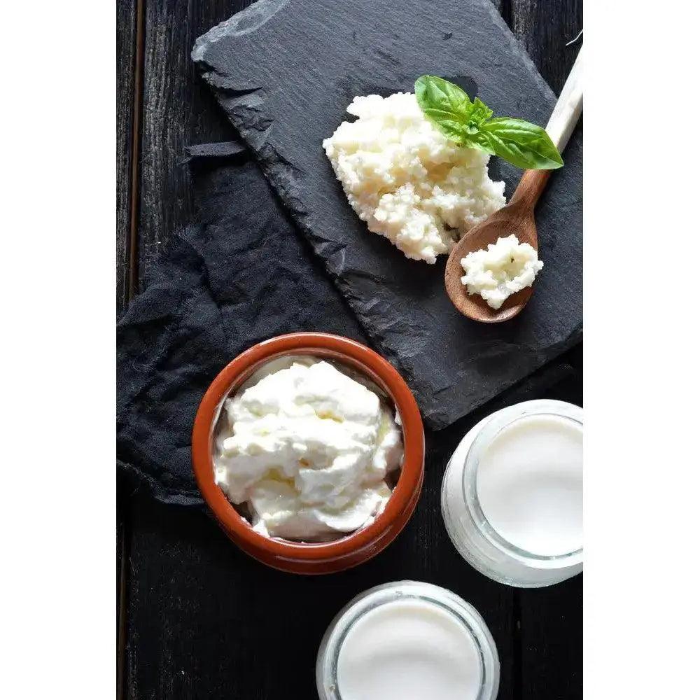 An In-Depth Look at the Microbial Diversity in Milk Kefir: 59 Bacteria ...