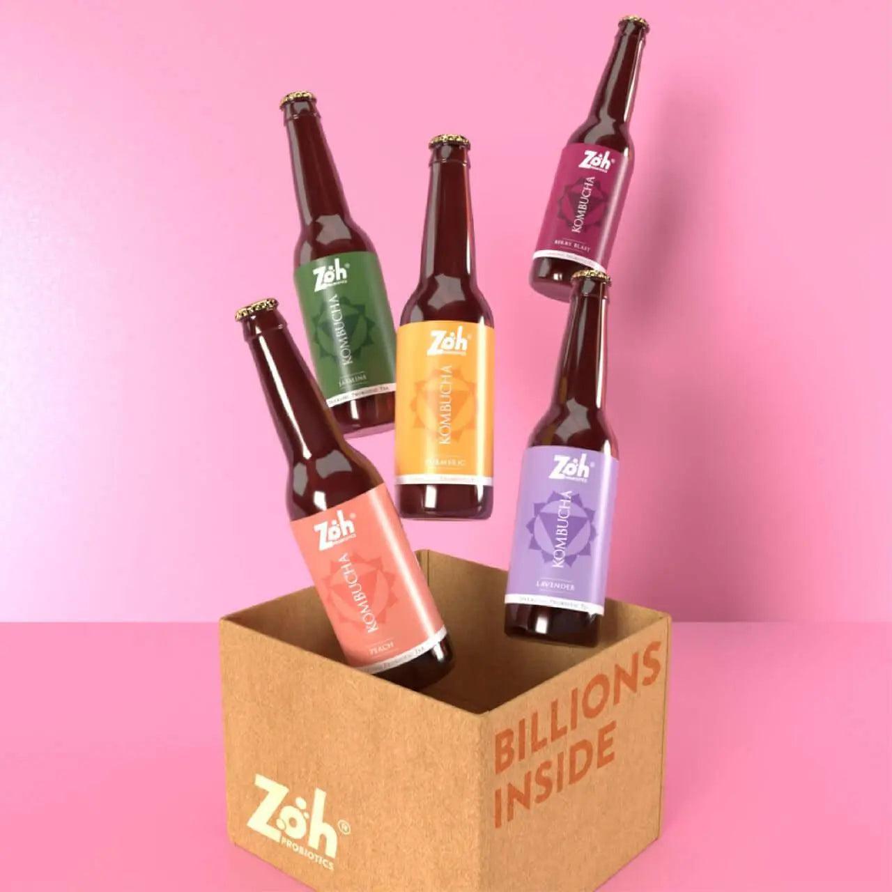Zoh Probiotics Build Your Own Kombucha Box: Kombucha Flavor Collection