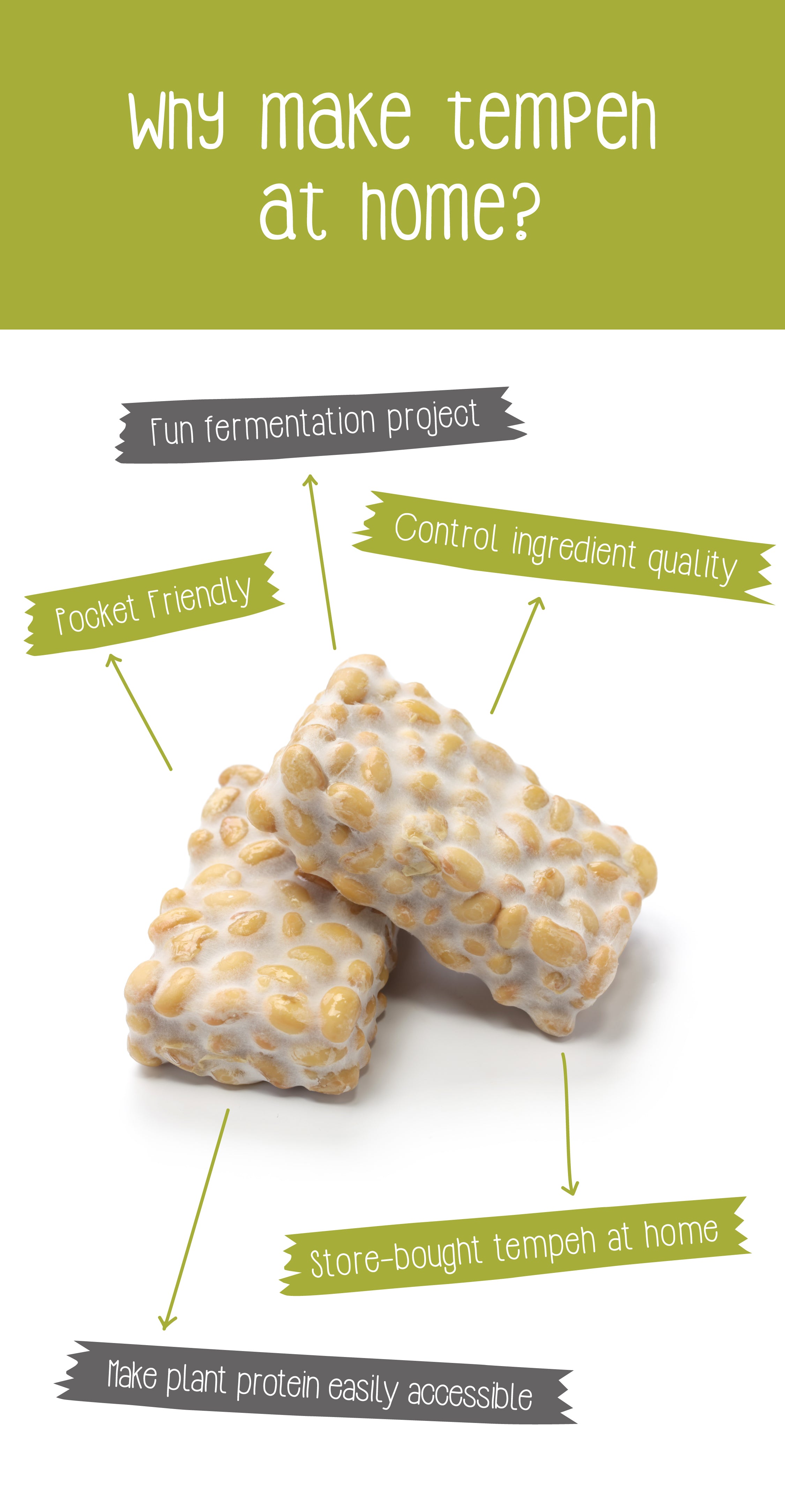 Homemade Soy Tempeh Starter Culture | Make Soy Tempeh | Zoh Probiotics