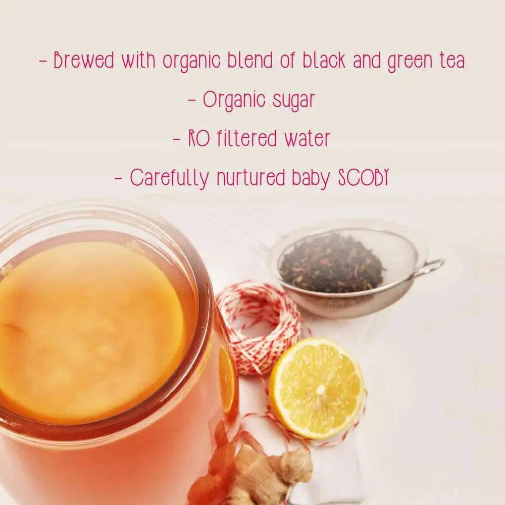 Home Buy Kombucha SCOBY in India: Ultimate Starter Culture by Zoh ...